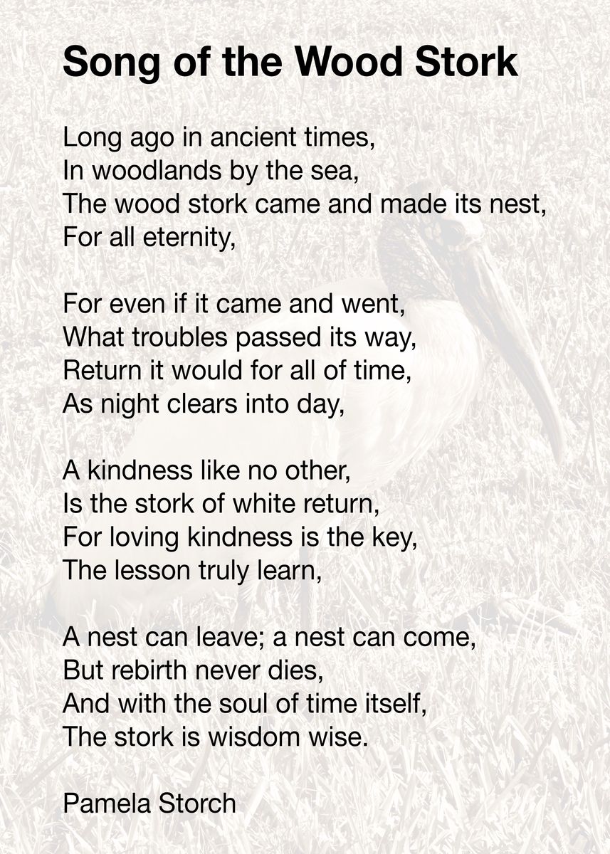 'The Wood Stork Poem' Poster, picture, metal print, paint by Pamela ...