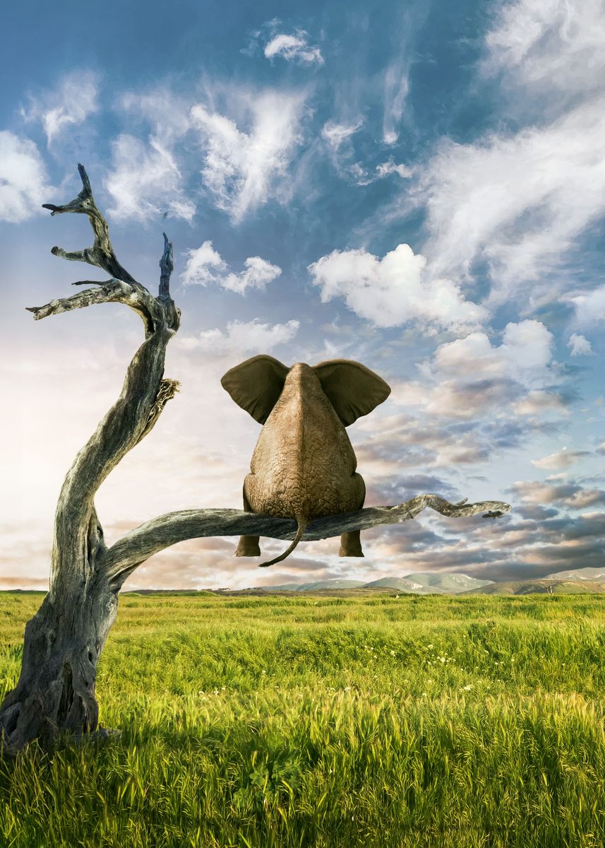 'Elephant' Poster, picture, metal print, paint by VA Visuals | Displate