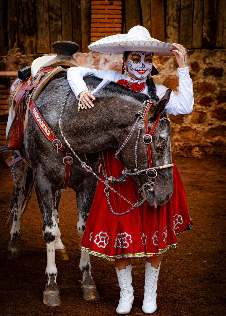 'mexico girl disguise' Poster, picture, metal print, paint by Travel ...
