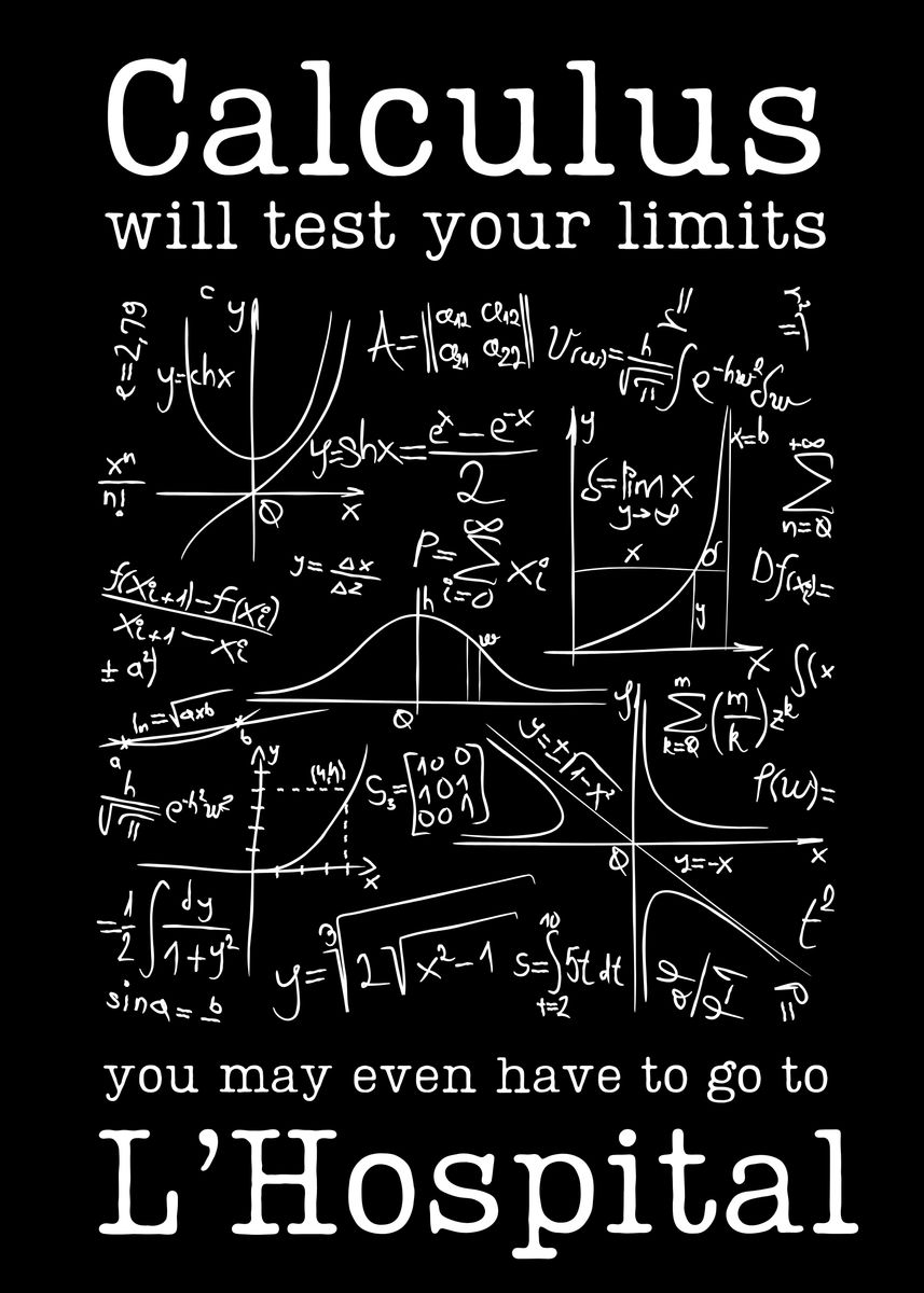 'Funny Math Humor Calculus' Poster, picture, metal print, paint by ...