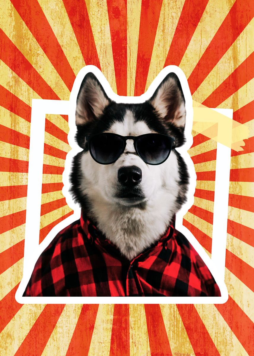 'Funky Dog' Poster, picture, metal print, paint by ENZOKEN ART | Displate