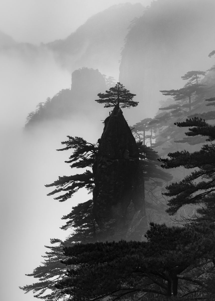 'Standing alone' Poster, picture, metal print, paint by World Class ...