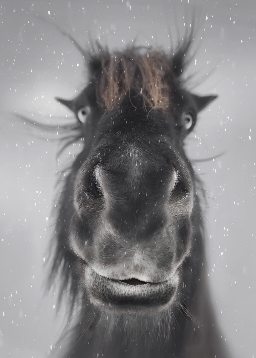 'Hey' Poster, picture, metal print, paint by World Class Photos | Displate