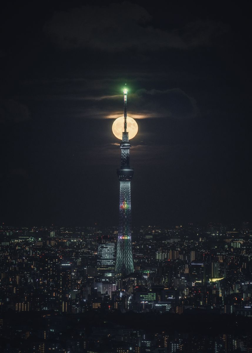 'Moon City' Poster, picture, metal print, paint by World Class Photos ...