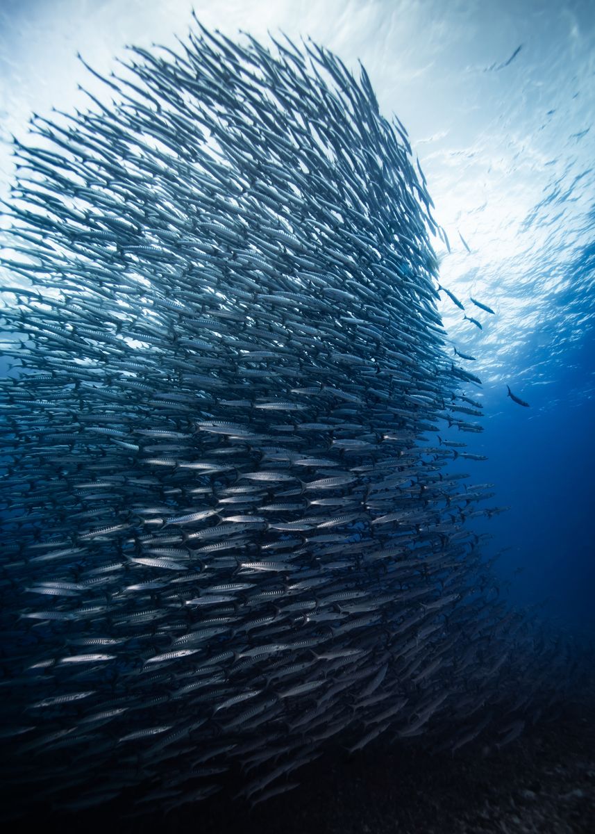 'Skyscraper' Poster, picture, metal print, paint by World Class Photos ...