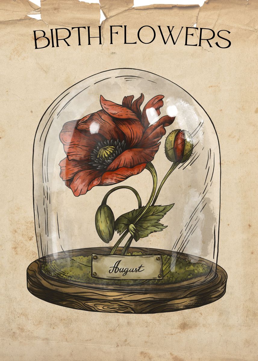 'August poppy birthmonth' Poster, picture, metal print, paint by ...