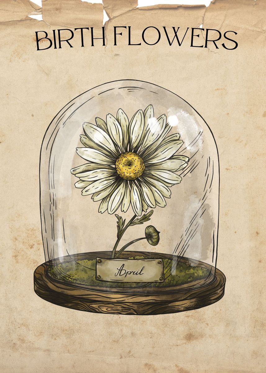 'April birthmonth flower' Poster, picture, metal print, paint by ...