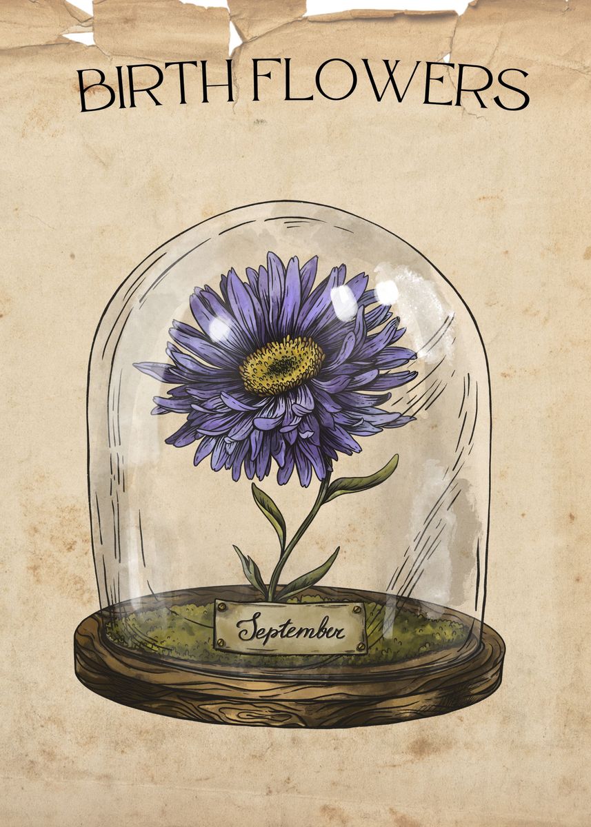 'september birth month' Poster, picture, metal print, paint by ISF draw ...