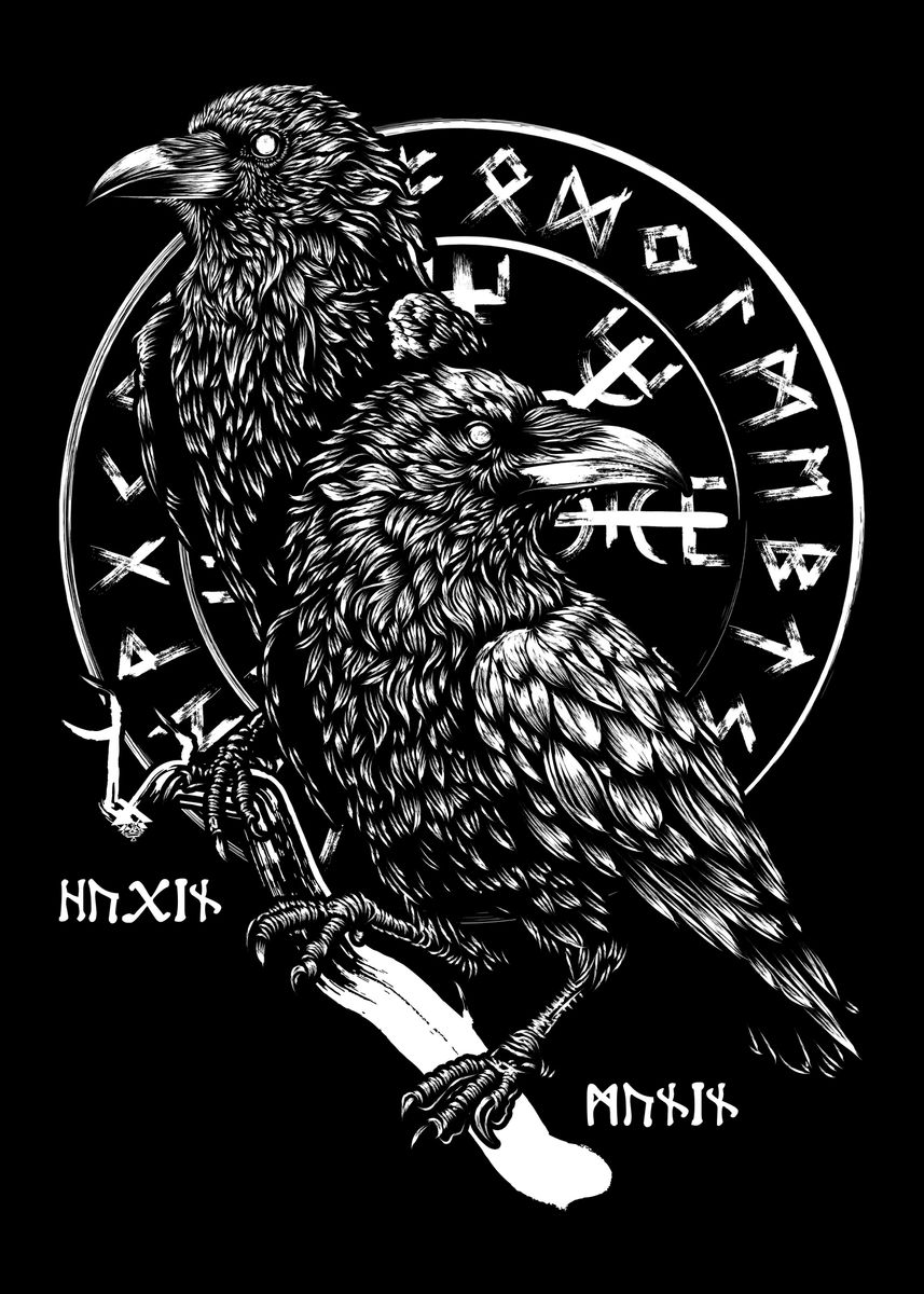 'Huginn and Muninn' Poster, picture, metal print, paint by Antonio ...