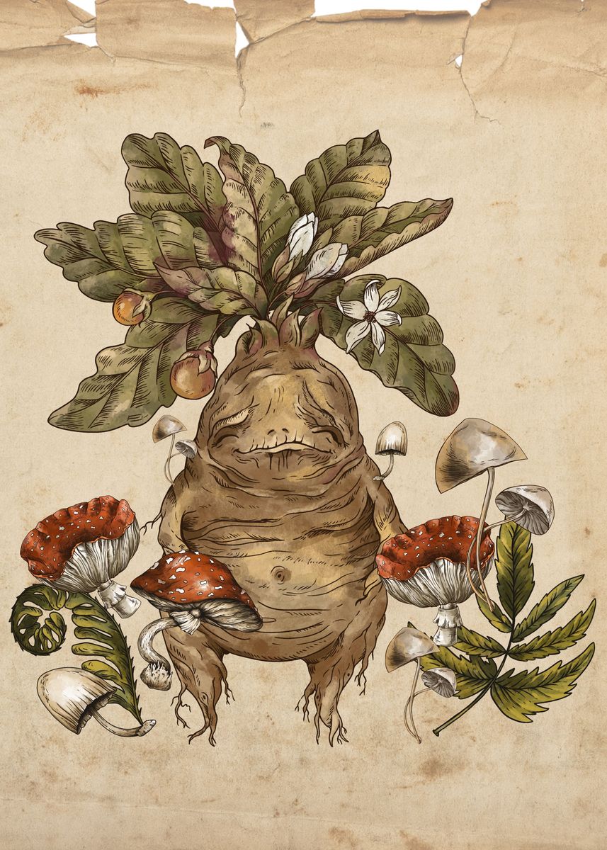 'mandragora mushroom forest' Poster, picture, metal print, paint by ...