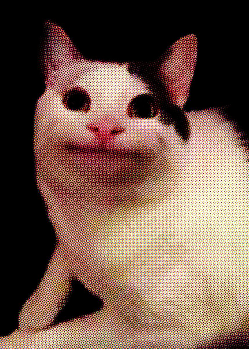 'Polite cat meme' Poster, picture, metal print, paint by ipart id ...