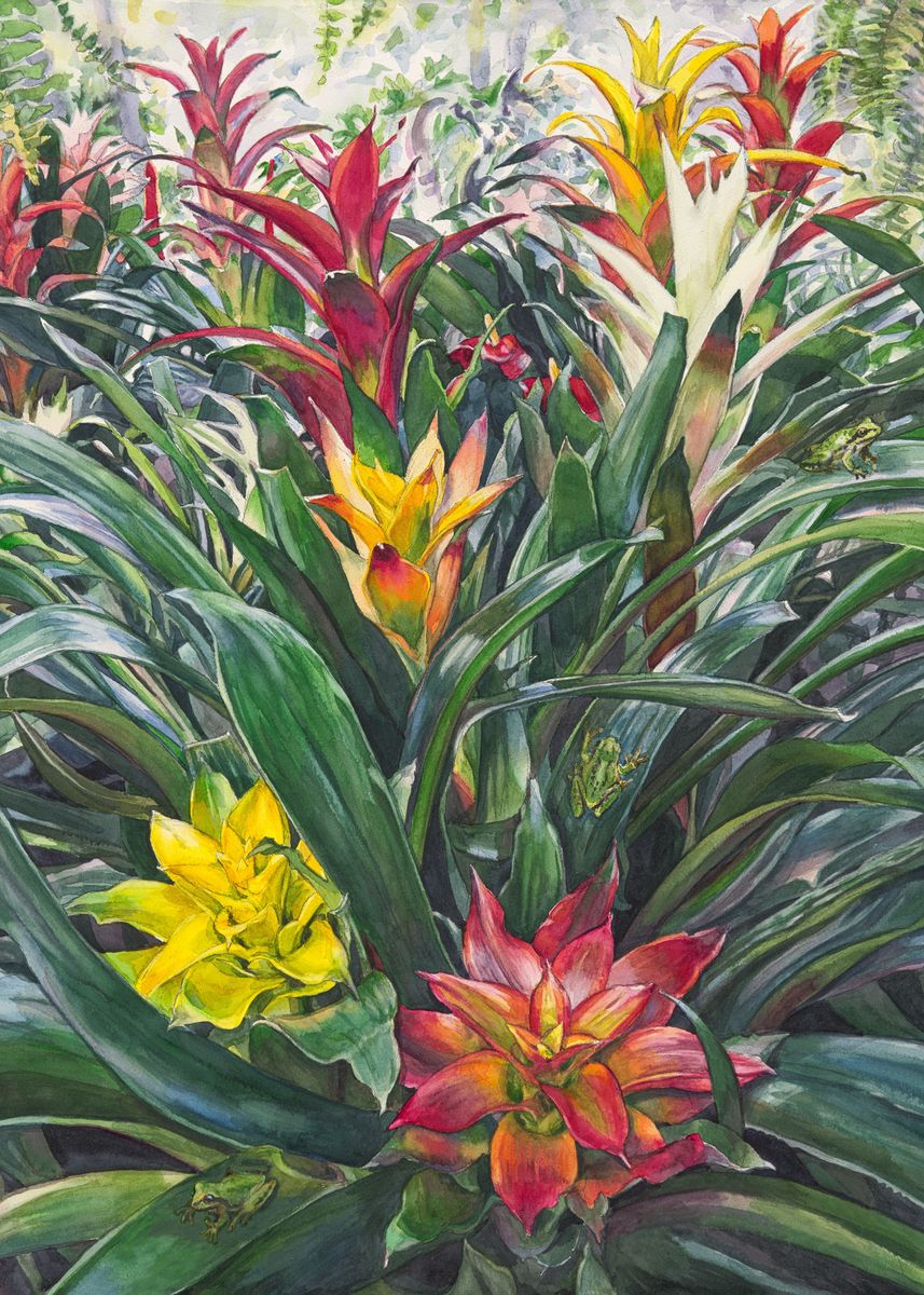 'Tropical Bromeliad Bouquet' Poster, picture, metal print, paint by ...