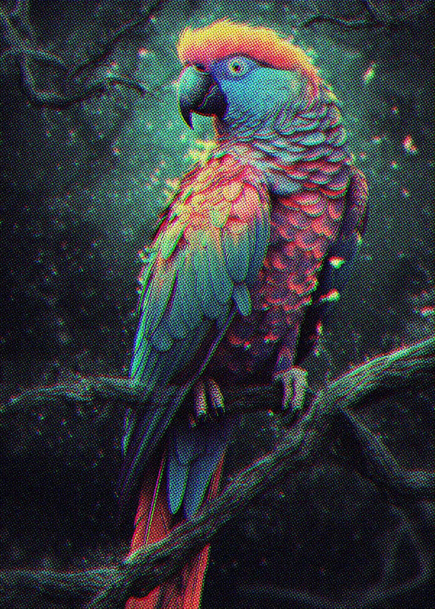 'Retro Parrot' Poster, picture, metal print, paint by Fanth | Displate