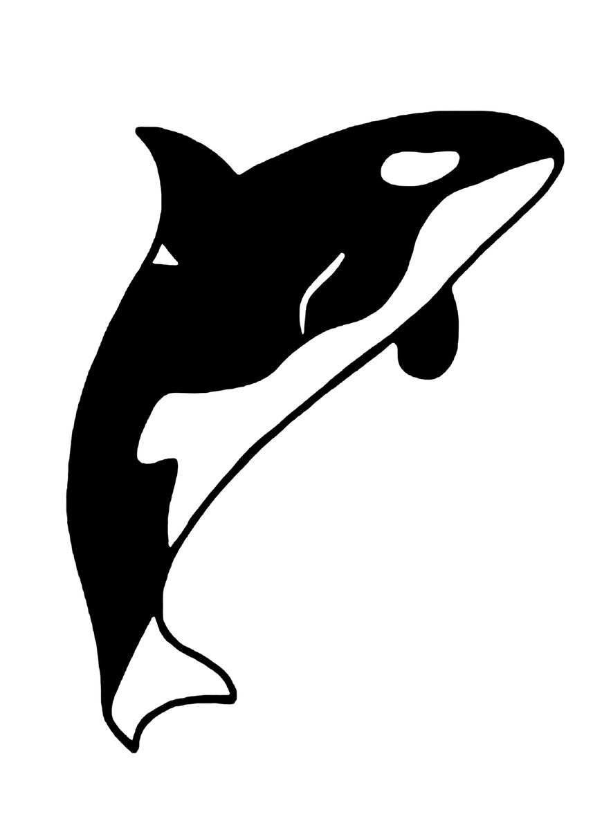 'Orca' Poster, picture, metal print, paint by DNSM | Displate