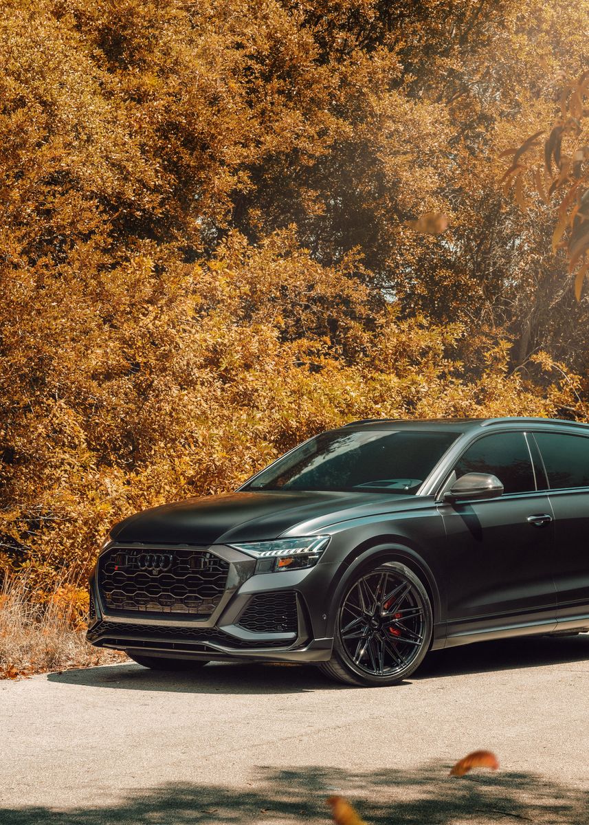 'Audi RS Q8' Poster, picture, metal print, paint by Janet Clements ...