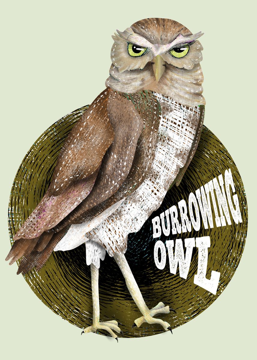 'Burrowing Owl' Poster, picture, metal print, paint by mailbox disco ...