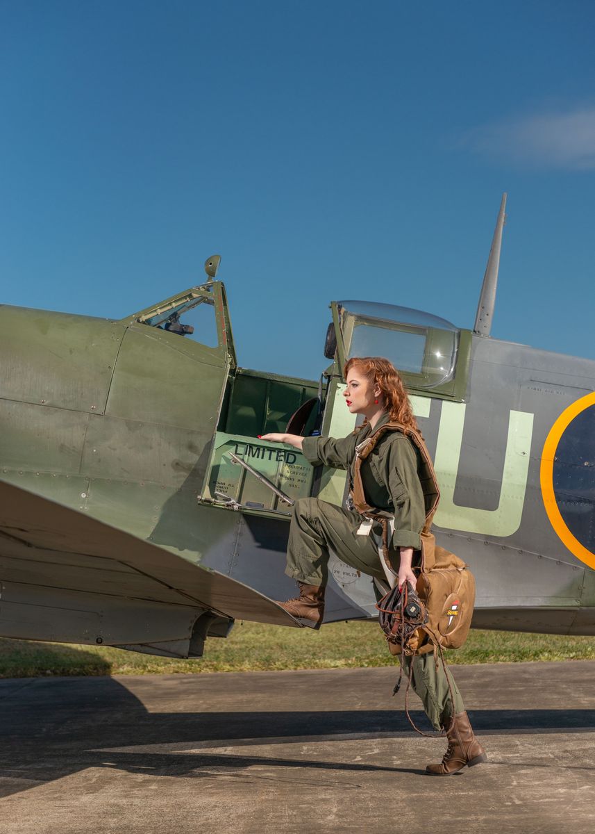 'Kelly and the Spitfire' Poster, picture, metal print, paint by Mark ...