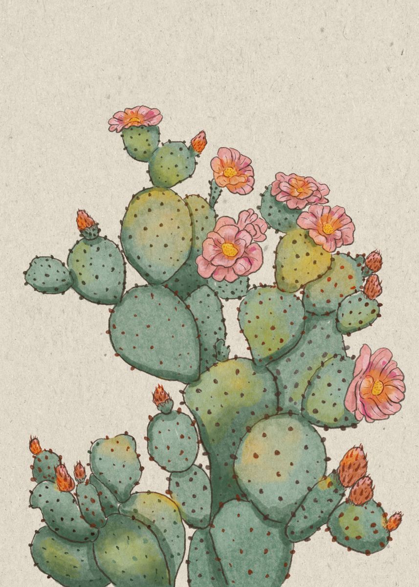 'Pink Cactus' Poster, picture, metal print, paint by Celeste Armilla ...