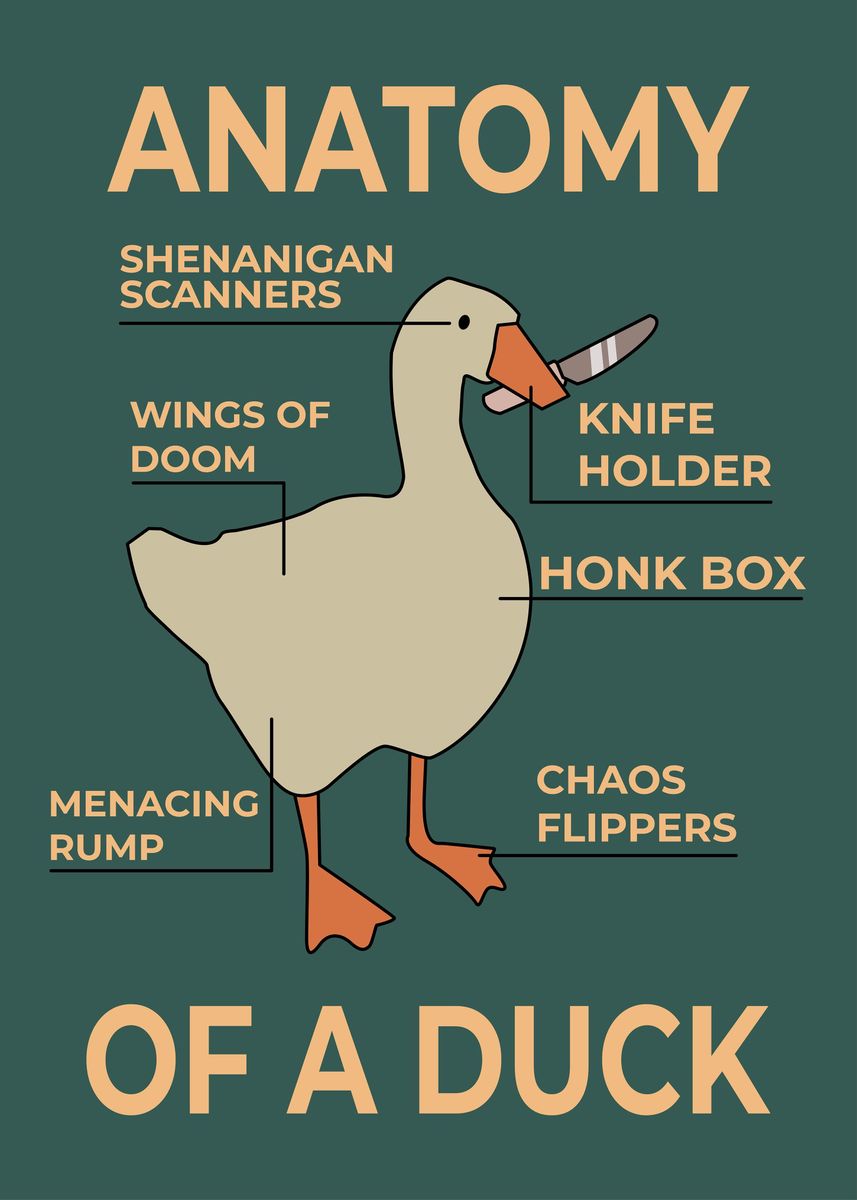 'Anatomy Animals A Duck' Poster, picture, metal print, paint by DASDOFF ...