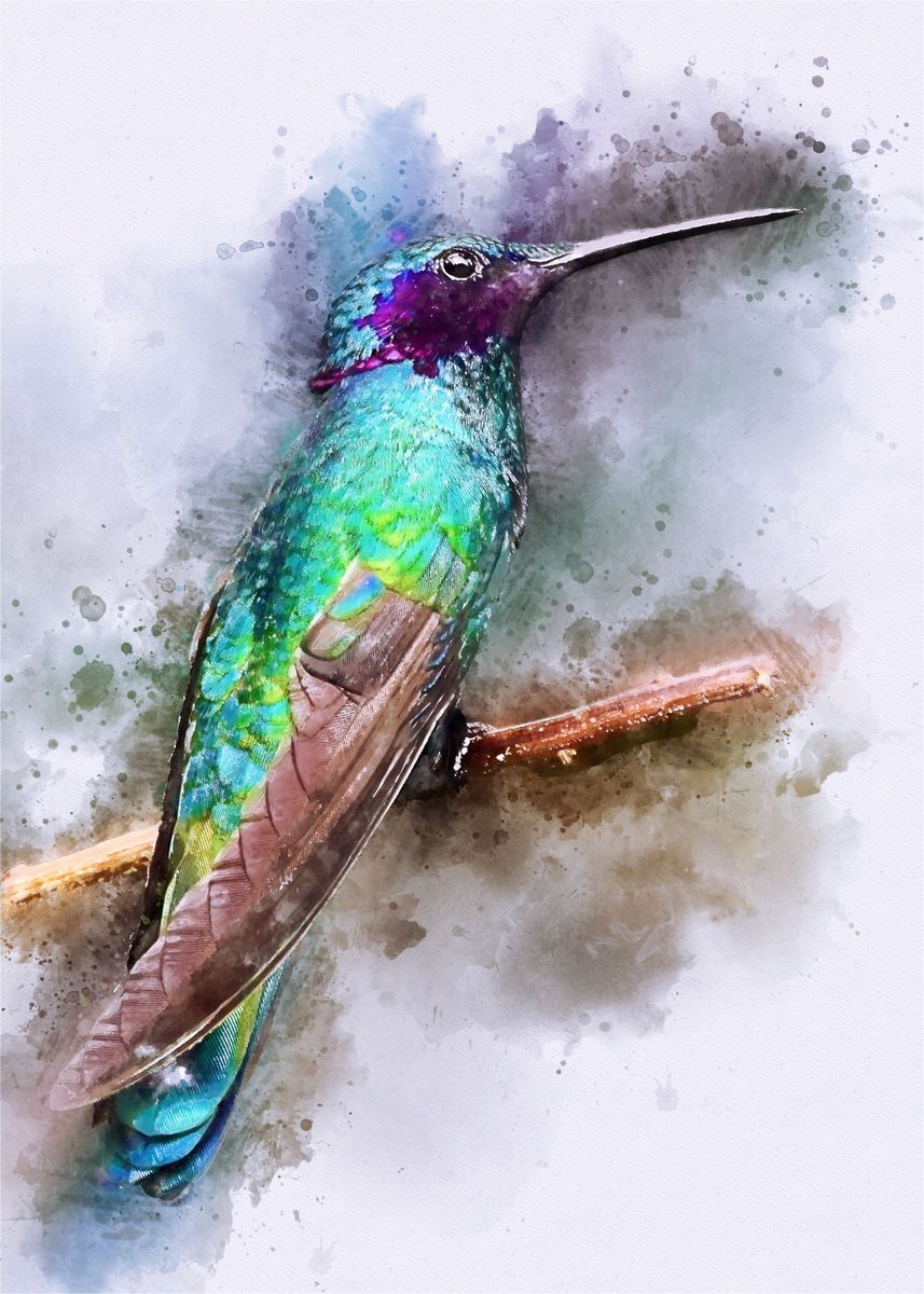 'watercolor colibri bird' Poster, picture, metal print, paint by cahya ...