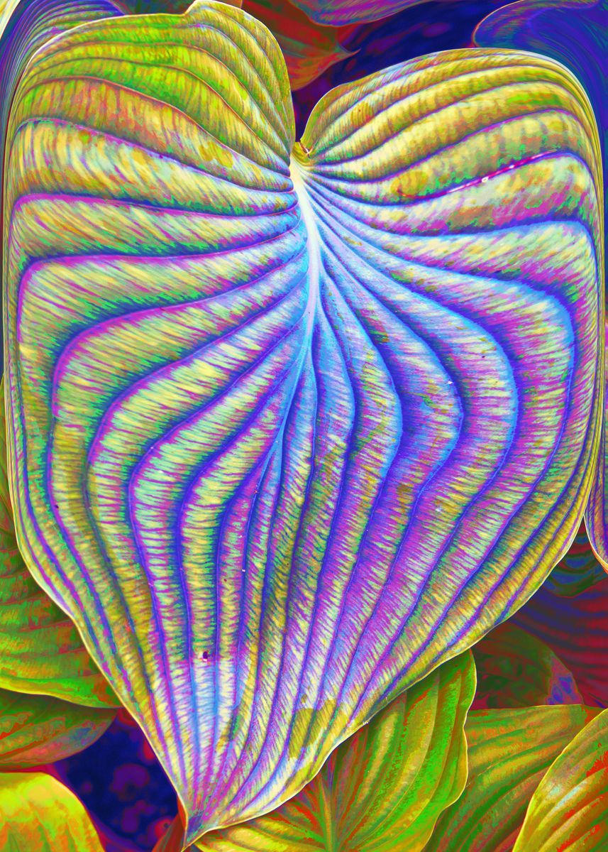 'lovely heart leaf' Poster, picture, metal print, paint by Ornella ...