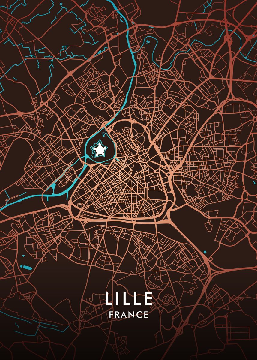 'Lille City Map' Poster, picture, metal print, paint by Miracle Studio ...