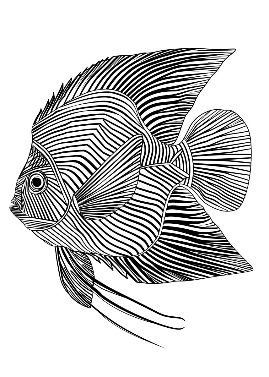 'Lines art animal fish' Poster, picture, metal print, paint by JBJart ...