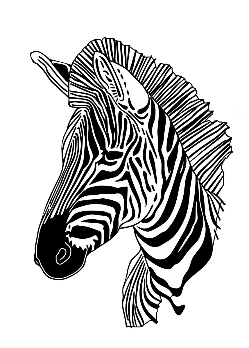 'Lines art animal zebra' Poster, picture, metal print, paint by JBJart ...