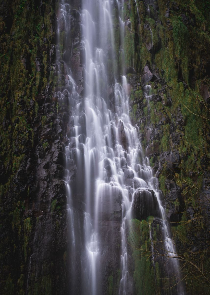 'Details of a waterfall' Poster, picture, metal print, paint by David ...