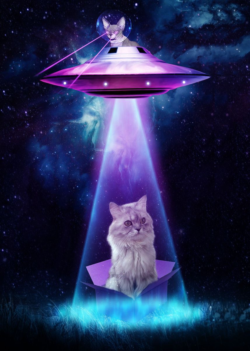 'Funny Cat Ufo' Poster, picture, metal print, paint by Life Motivation ...