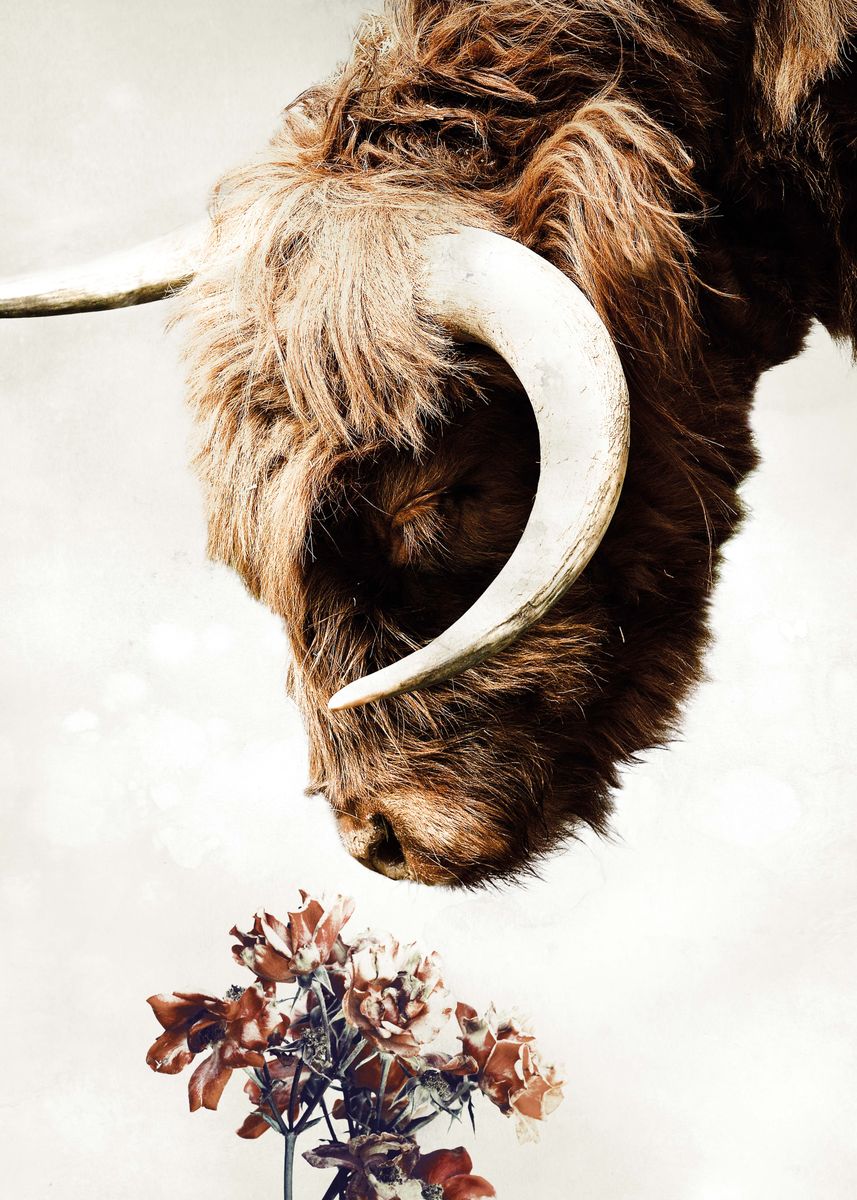 'Highlander' Poster, picture, metal print, paint by Wouter Rikken ...