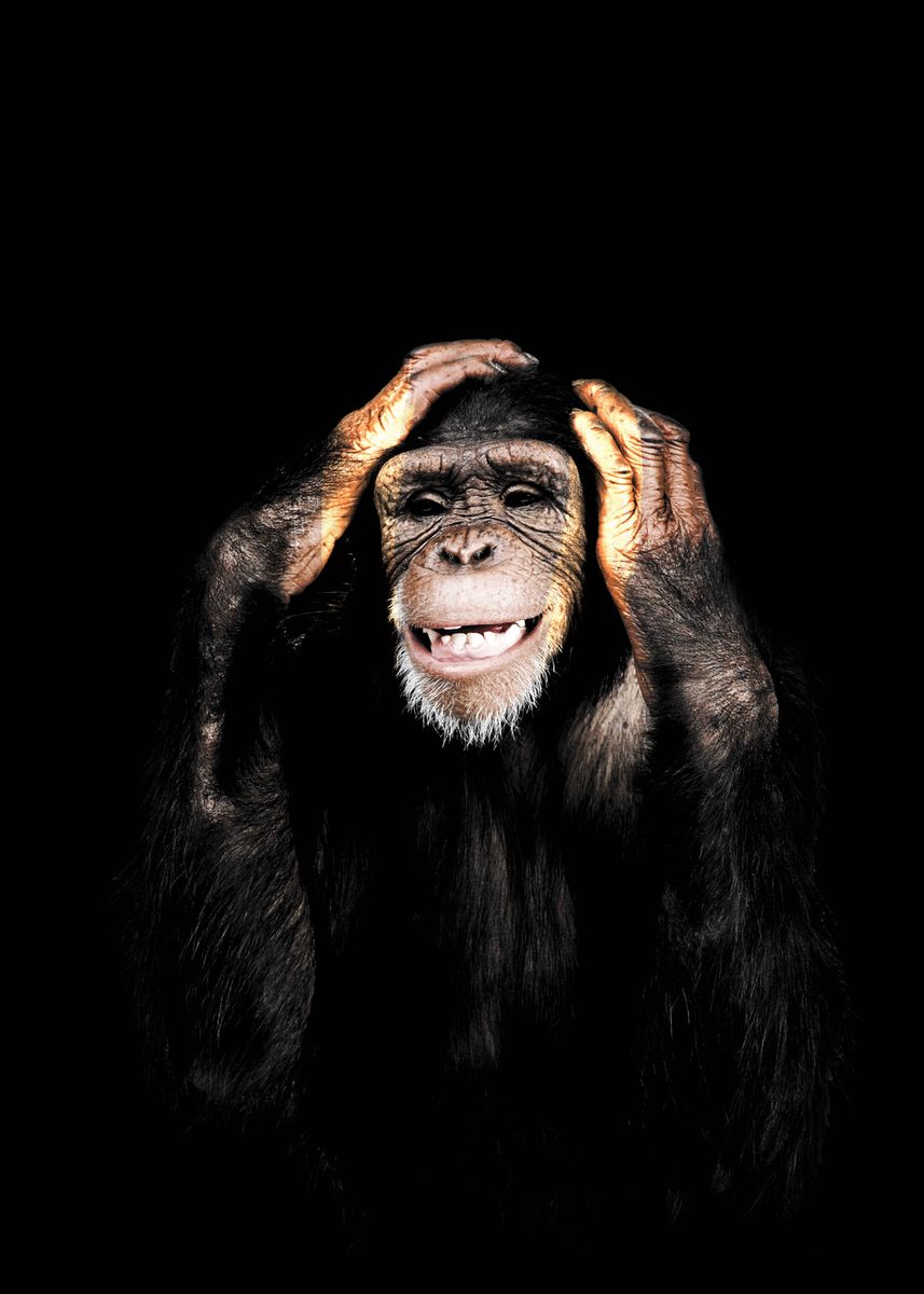 'Monkey Hear No Evil' Poster, picture, metal print, paint by Wouter ...