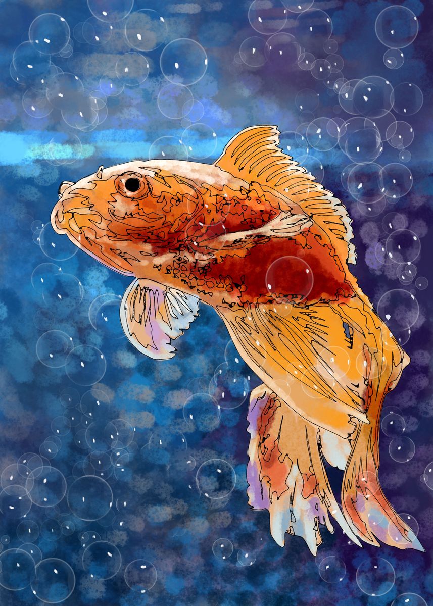 'aquarium fish 3' Poster, picture, metal print, paint by Nesrin ...