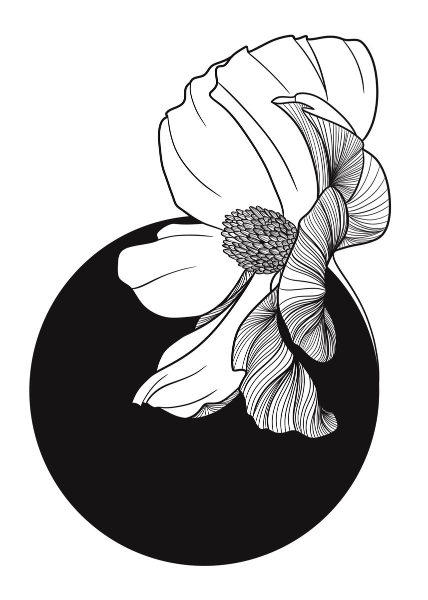 'Black and white flower' Poster, picture, metal print, paint by Ewy ...