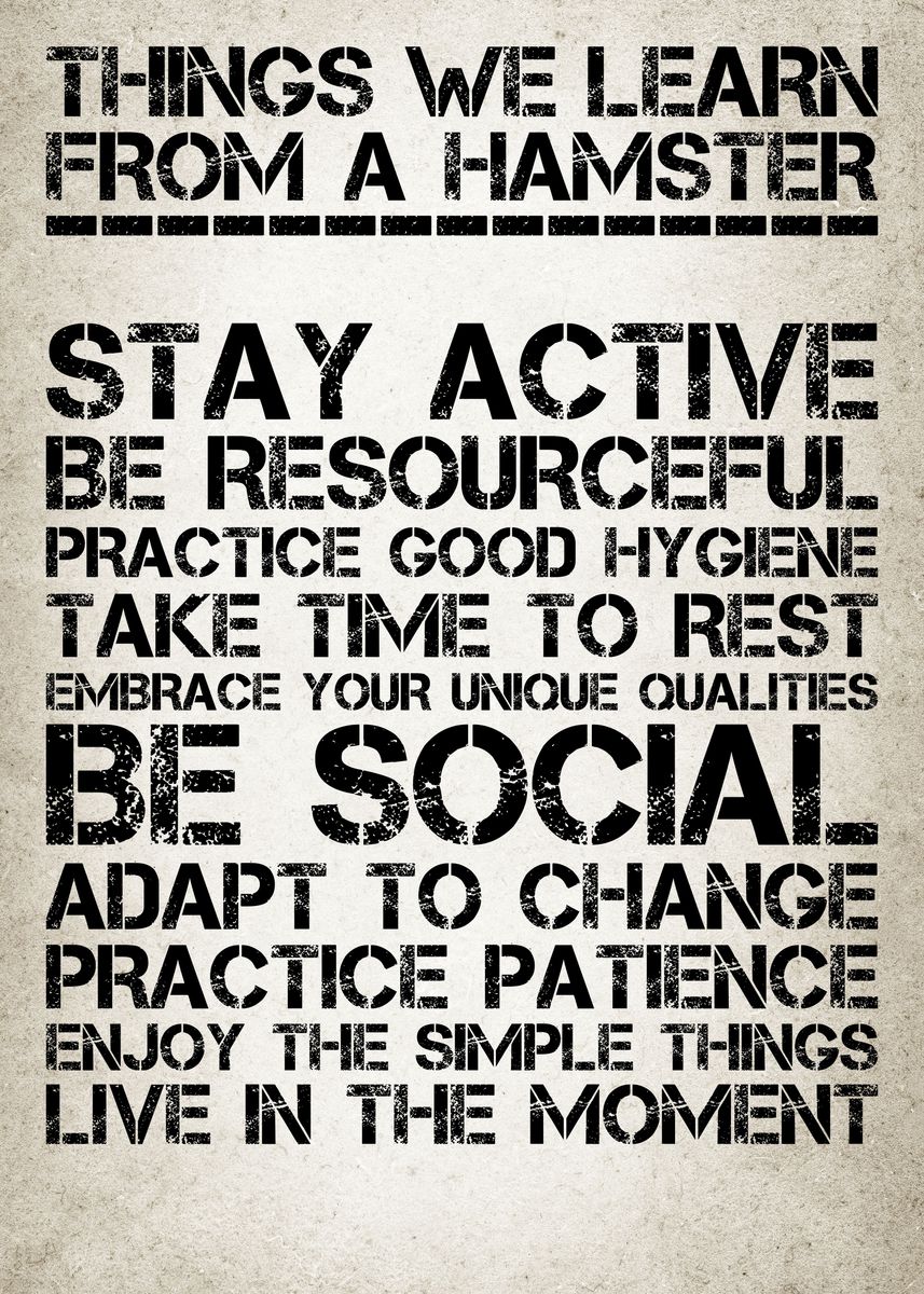 'Life Lessons From Hamsters' Poster, picture, metal print, paint by ...