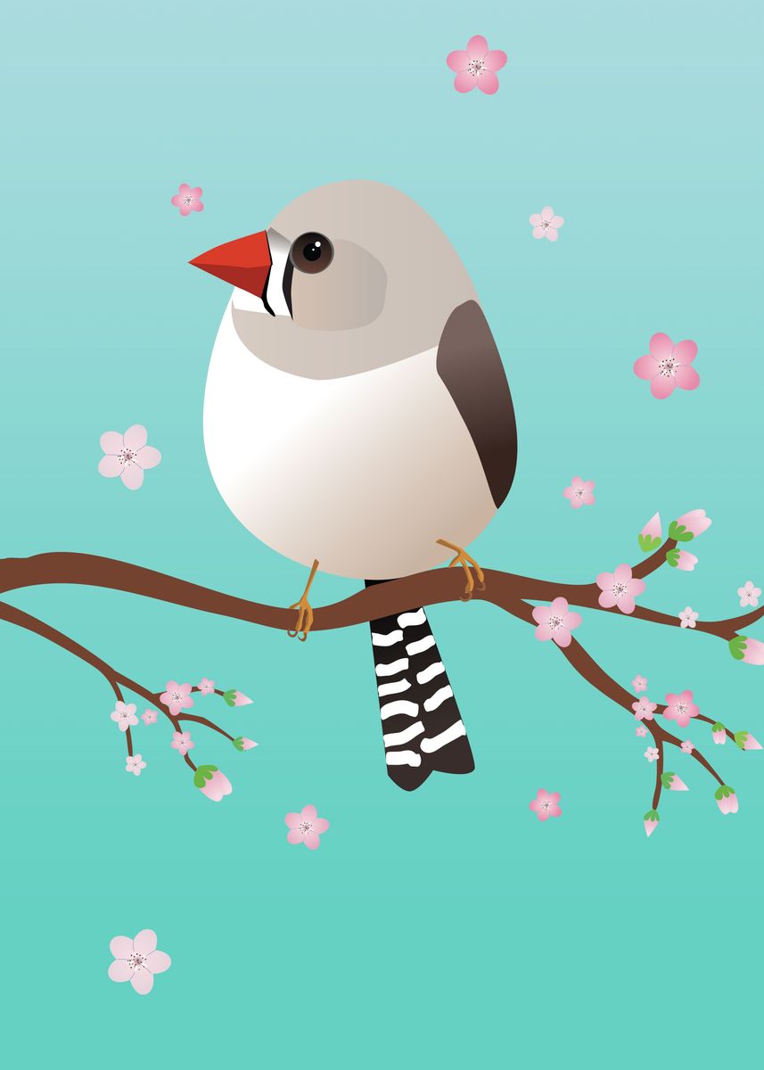 'Cute female zebra finch' Poster, picture, metal print, paint by Bianca ...