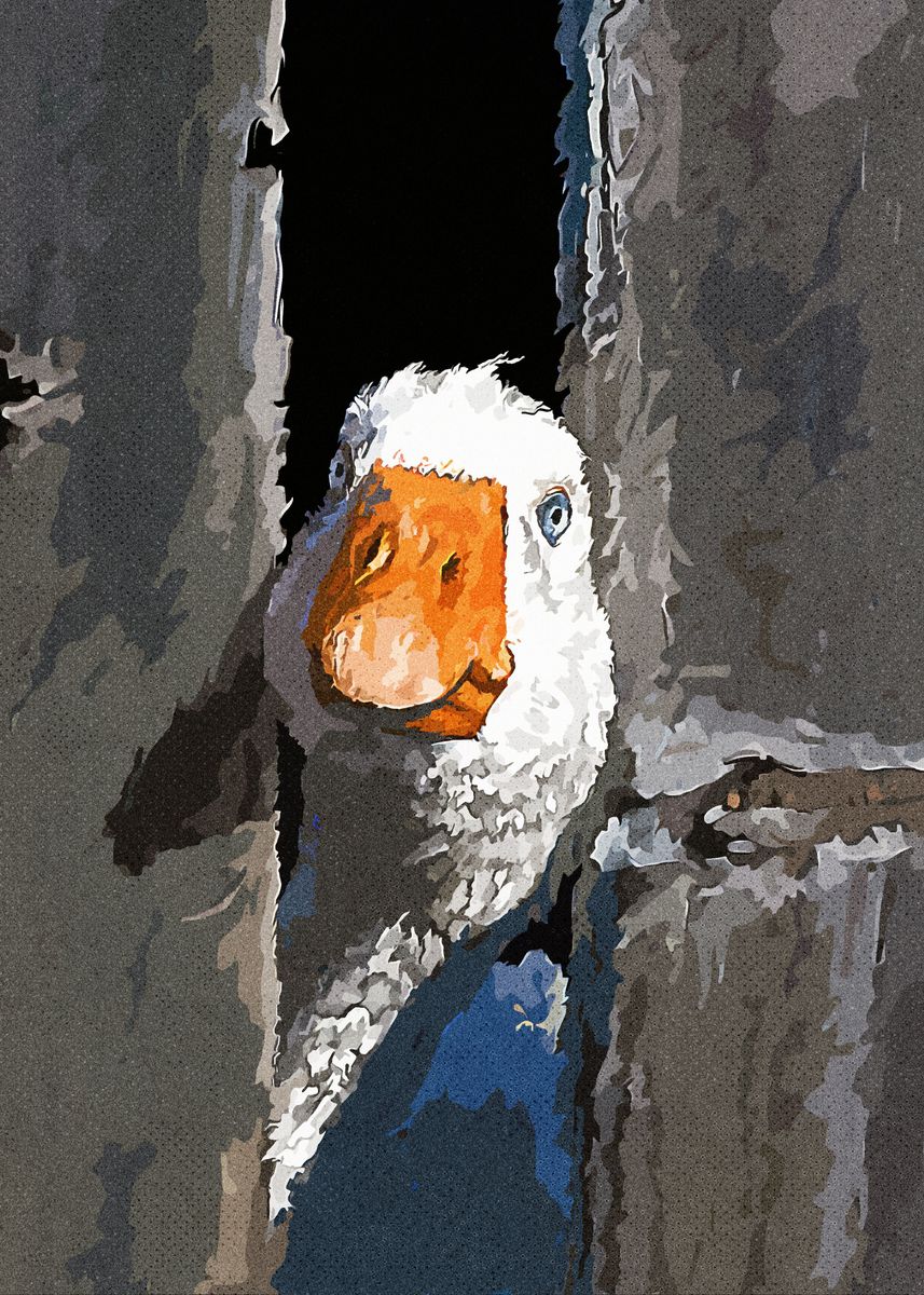 'Hi Brother' Poster, picture, metal print, paint by Lucky Star | Displate