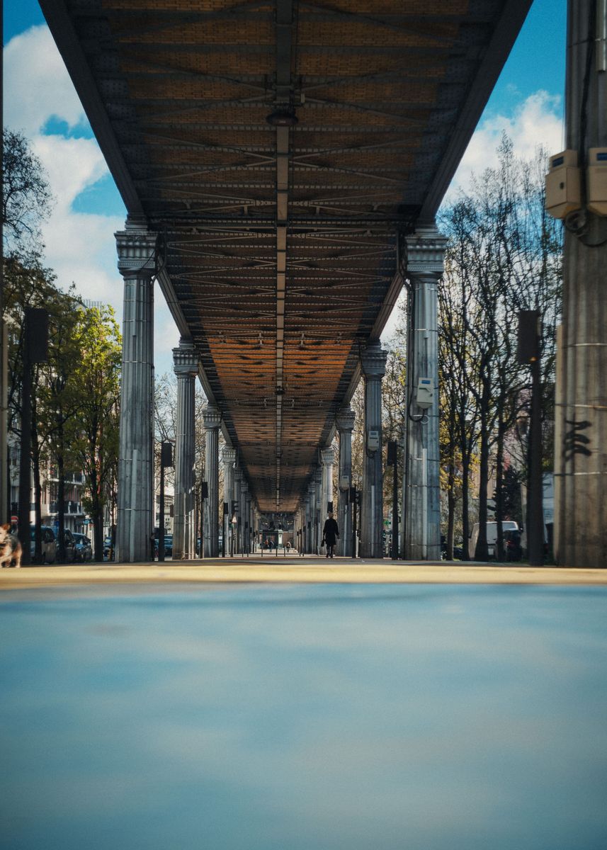 'Paris Metro Walkway' Poster, picture, metal print, paint by Cedric ...