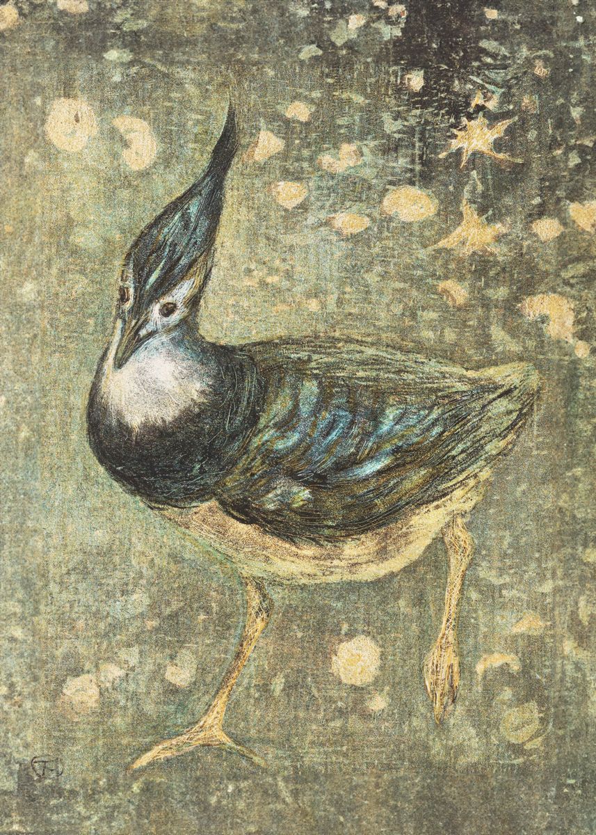 'Lapwing' Poster, picture, metal print, paint by tony4urban | Displate