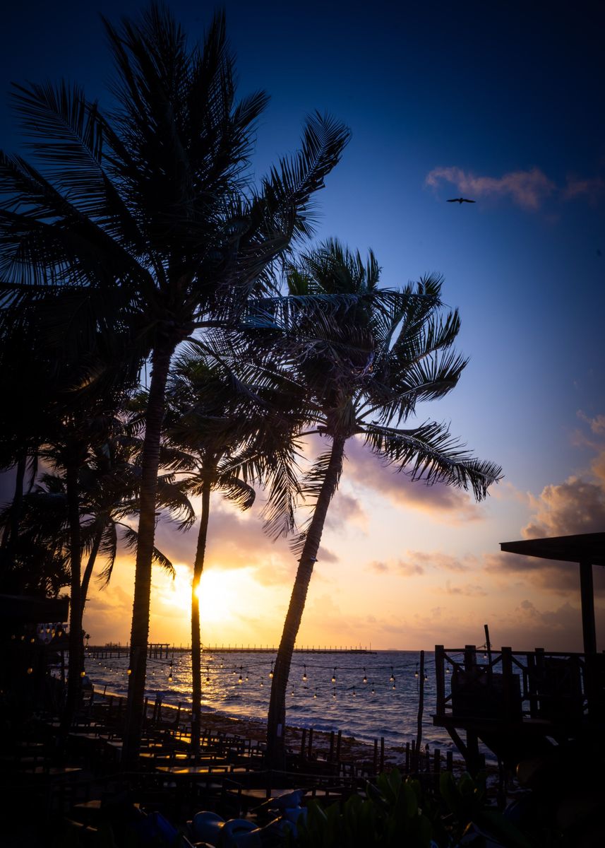 'Morning Playa Del Carmen' Poster, picture, metal print, paint by ...