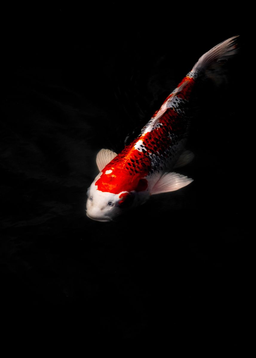 'Tri Color' Poster, picture, metal print, paint by Heko Batako | Displate