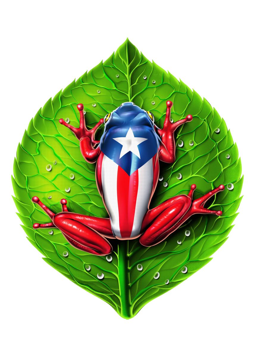'Puerto Rico Coqui Frog' Poster, picture, metal print, paint by ...