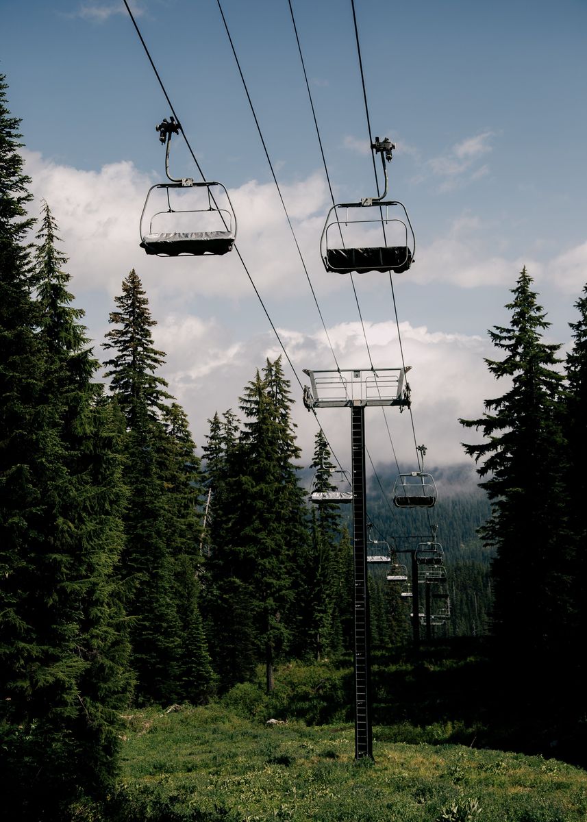 'Forest Chairlift' Poster, picture, metal print, paint by Hannah Kemp ...