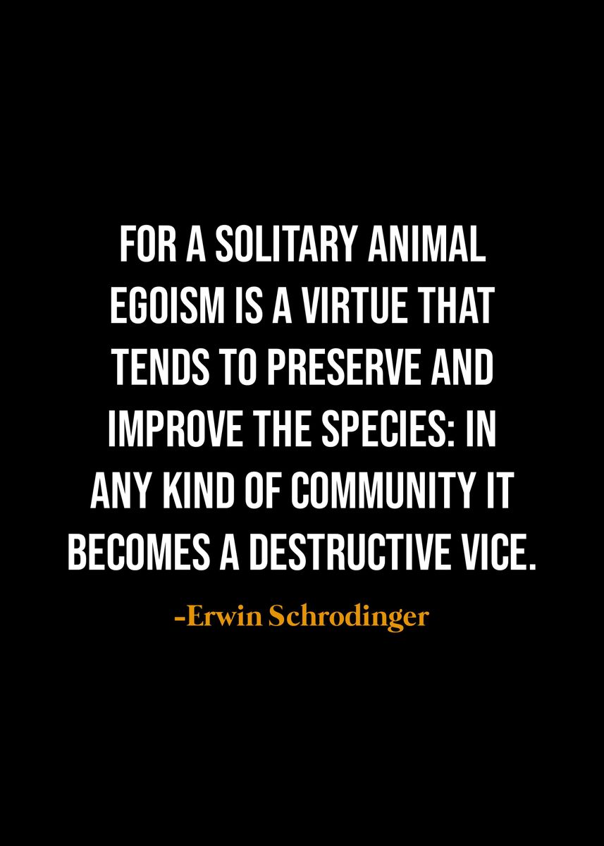 'Erwin Schrodinger quotes ' Poster, picture, metal print, paint by ...