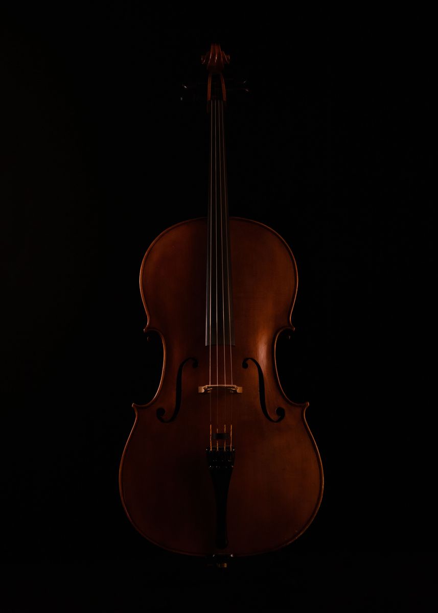 'Fiddle' Poster, picture, metal print, paint by Heko Batako | Displate