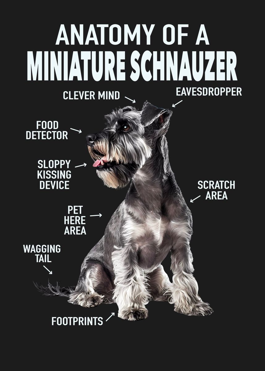 'Miniature schnauzer' Poster, picture, metal print, paint by Hexor | Displate