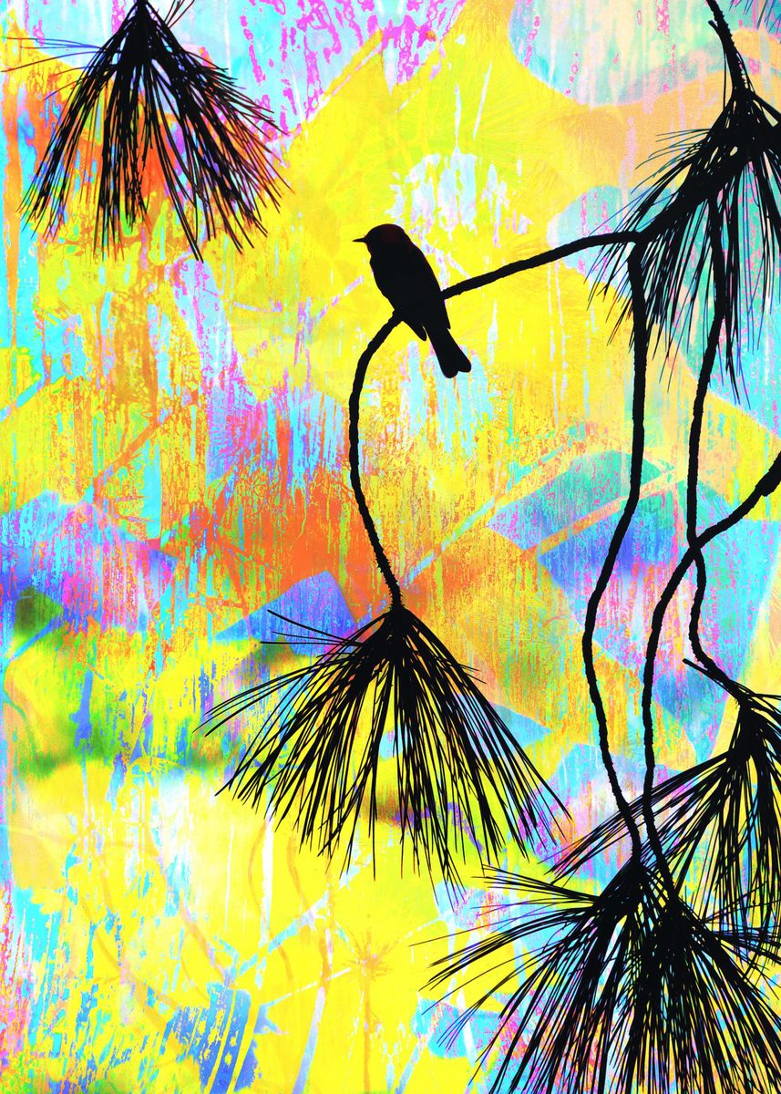 'Black Phoebe in Tree' Poster, picture, metal print, paint by Robert ...