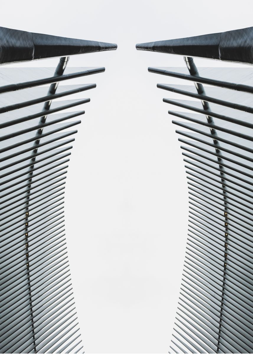 'Structural Symmetry 16' Poster, picture, metal print, paint by Mirror ...