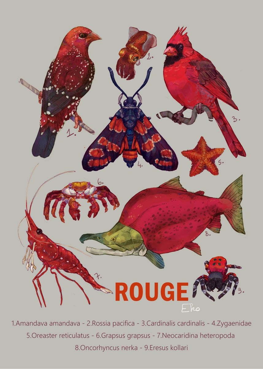'Red animals' Poster, picture, metal print, paint by Eko | Displate