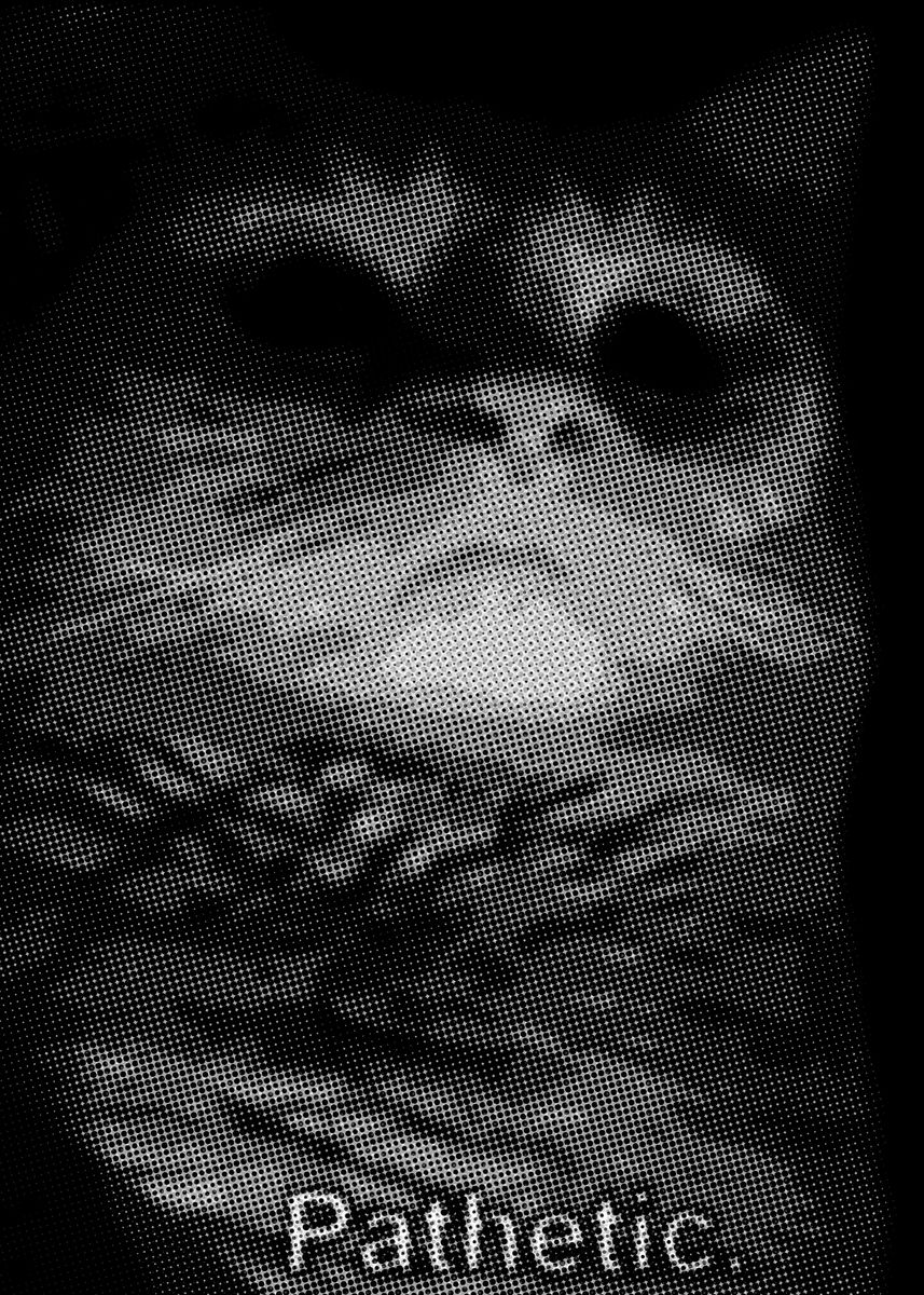 'Pathetic cat' Poster, picture, metal print, paint by ipart id | Displate